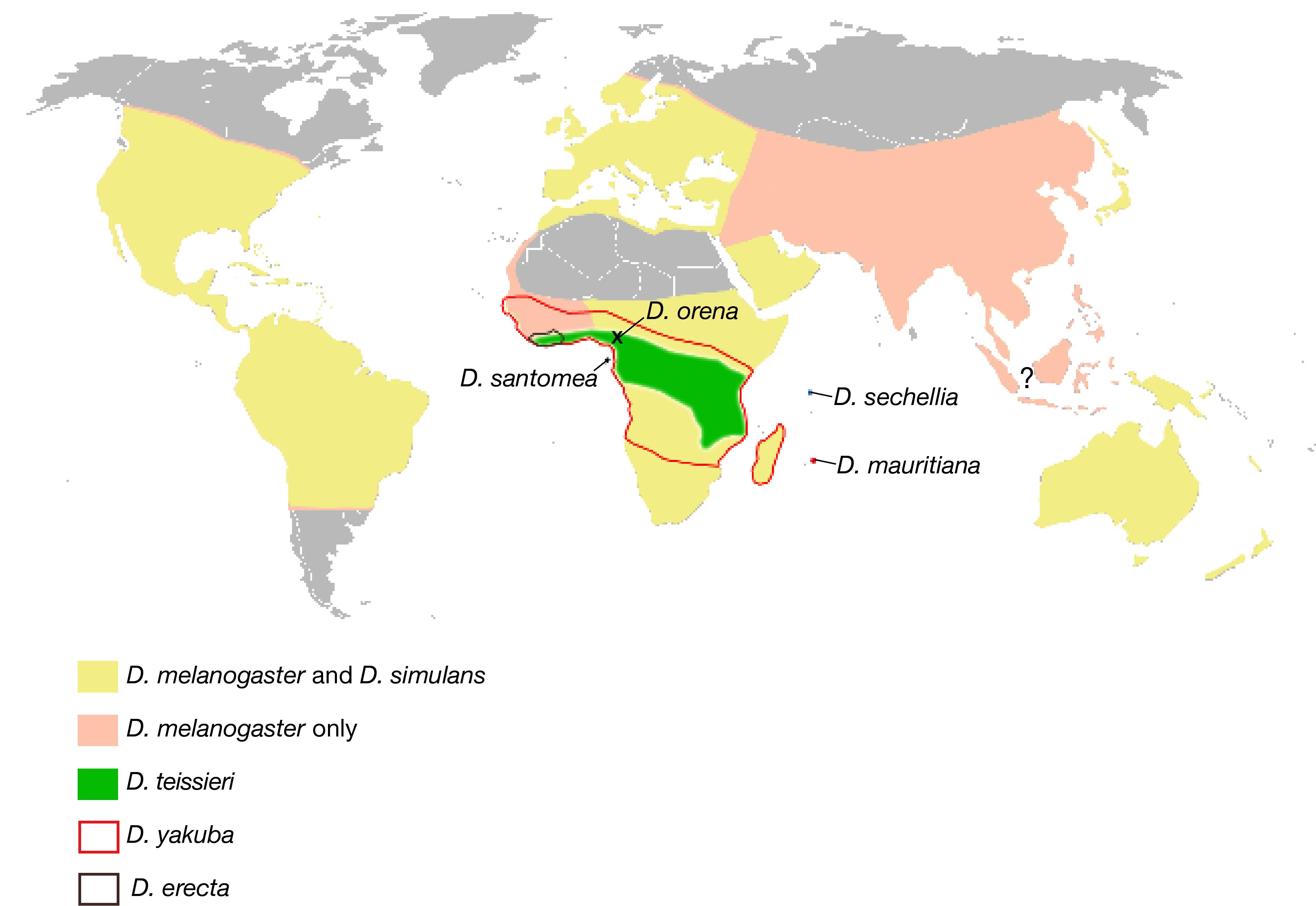 How have new insect species historically been distinguished from each ...